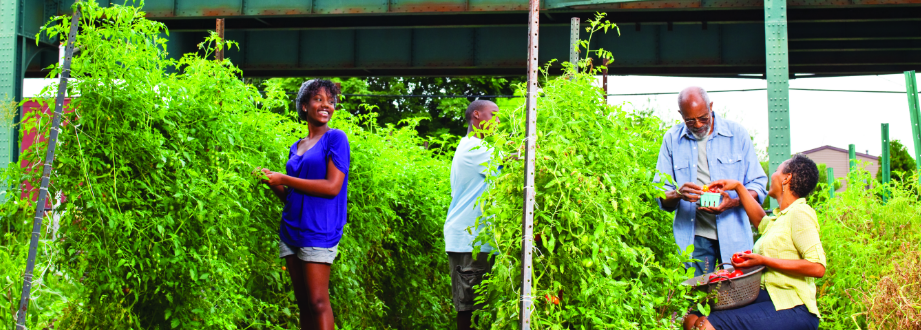 HP LaserJet Pro MFP 3103fdw 多功能打印機 - (3G632A) - 店鋪 HP.com 香港